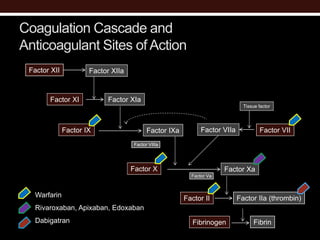 Falls and Anticoagulants (Jeffrey Barletta) | PPT