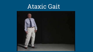 Falls Assessment Tools and Gait Deviations | PPTX | Physical Therapy ...