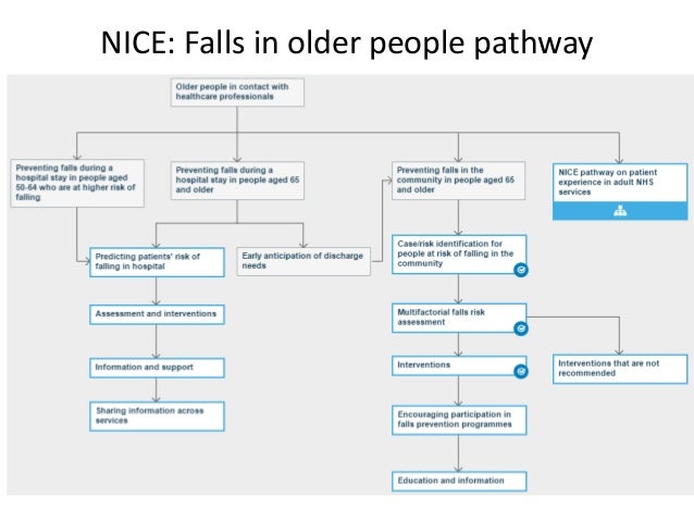 Falls prevention slideset for training use - March 2016