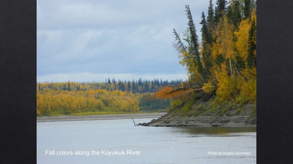 Fall 2013 Trip to Huslia, Alaska