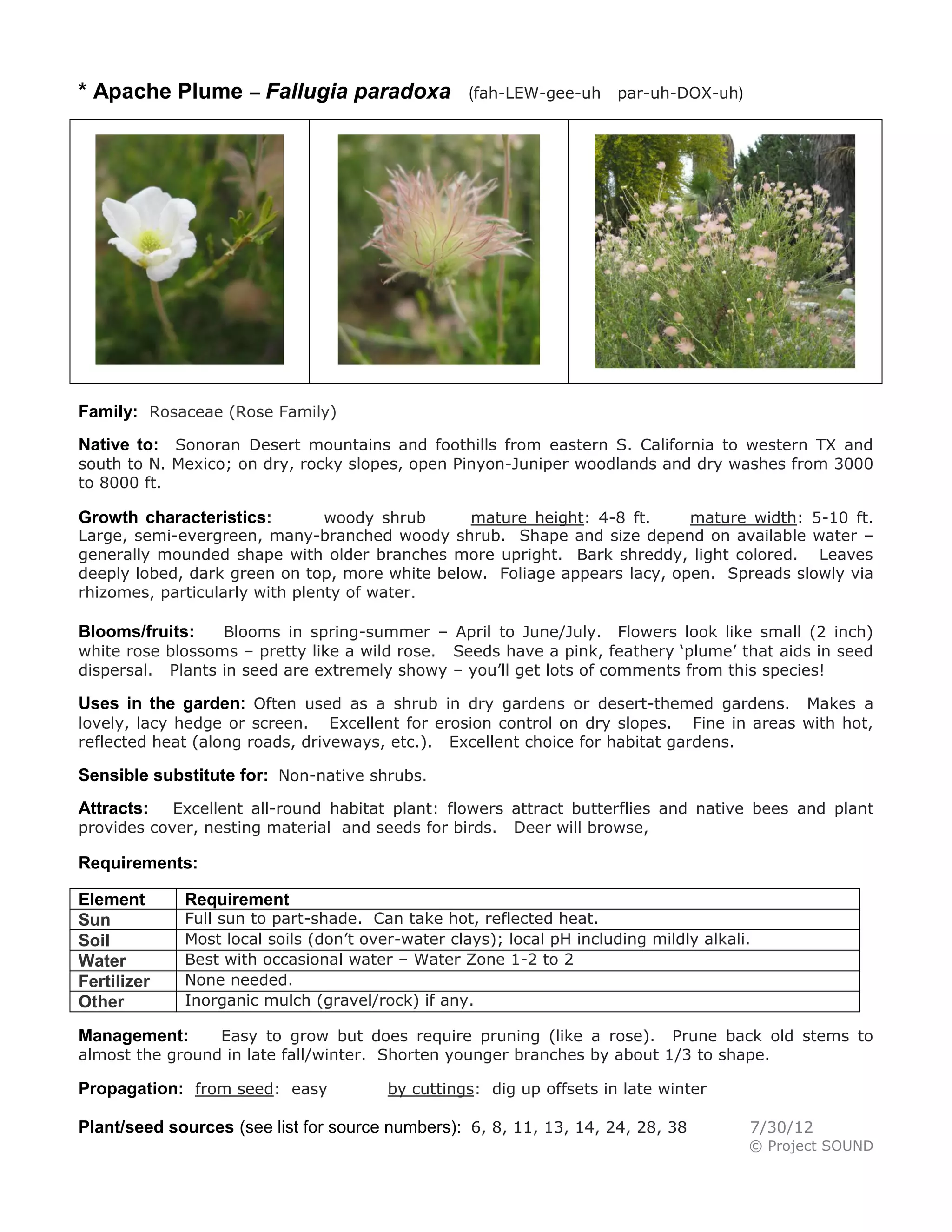 Fallugia paradoxa | PDF