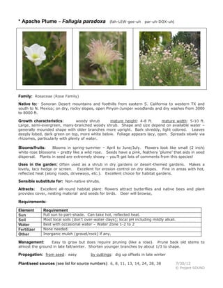 Fallugia paradoxa | PDF