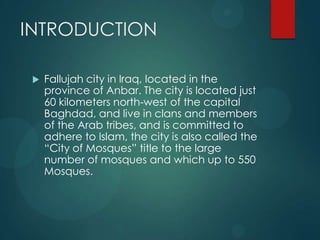 Fallujah sustainability | PPTX