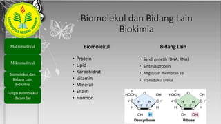 Falsafah BioKimia | PPTX