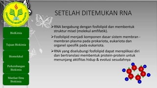 Falsafah BioKimia | PPTX