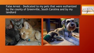 False arrest | PPTX