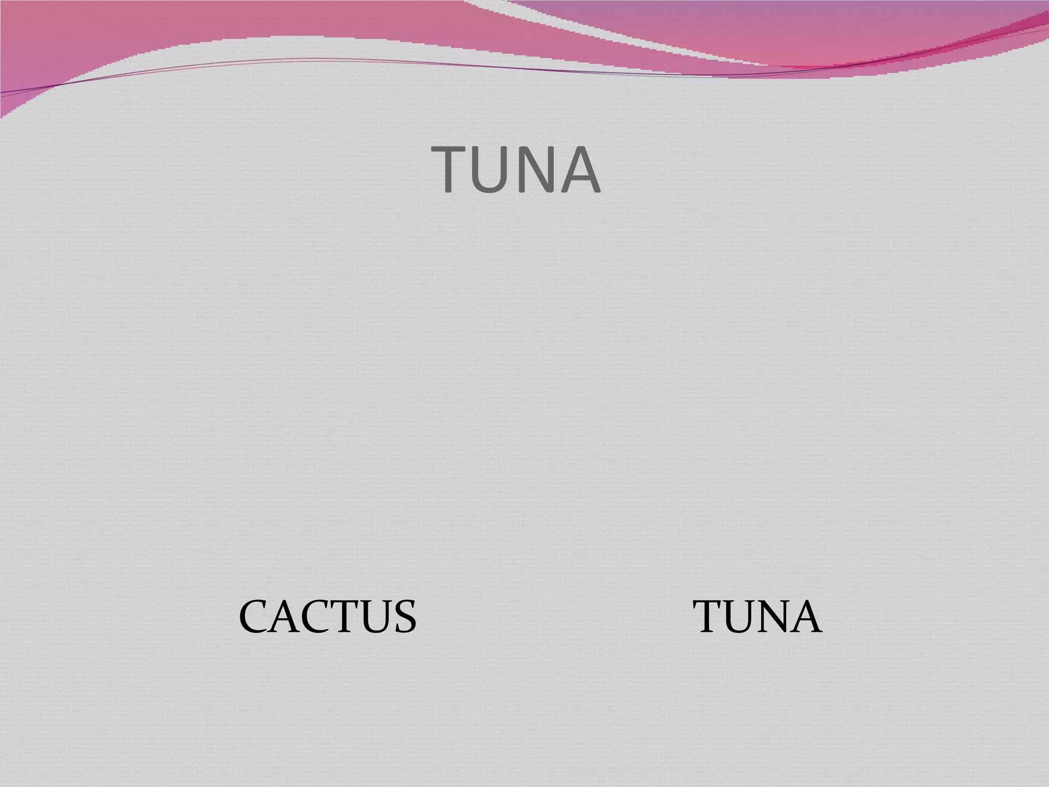 False cognates | PPT