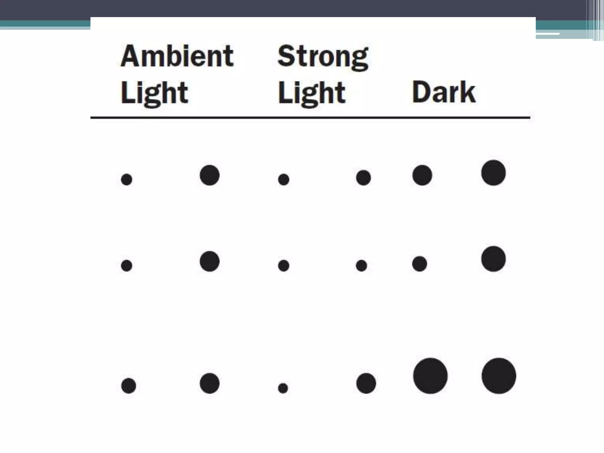 False localising signs : a major examination finding | PPT