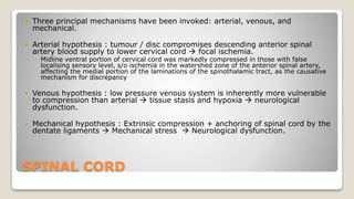 False Localising Signs In Neurology.pptx