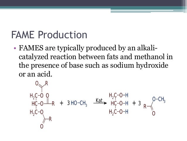 Fatty acid Methyl Ester Analysis (FAMEs)