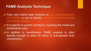 Fame analysis techniques | PPTX