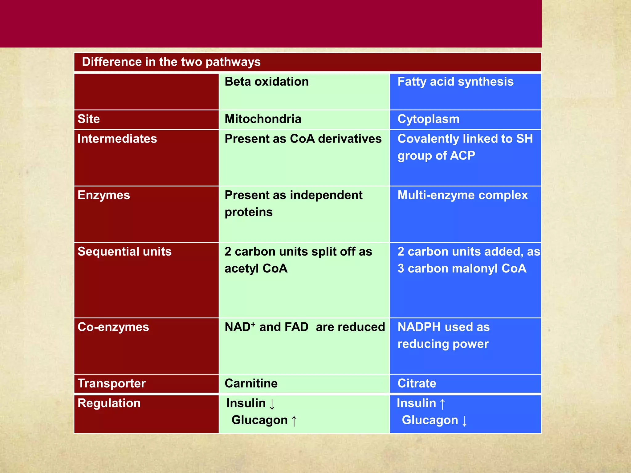 Fatty Acid metabolism | PPTX
