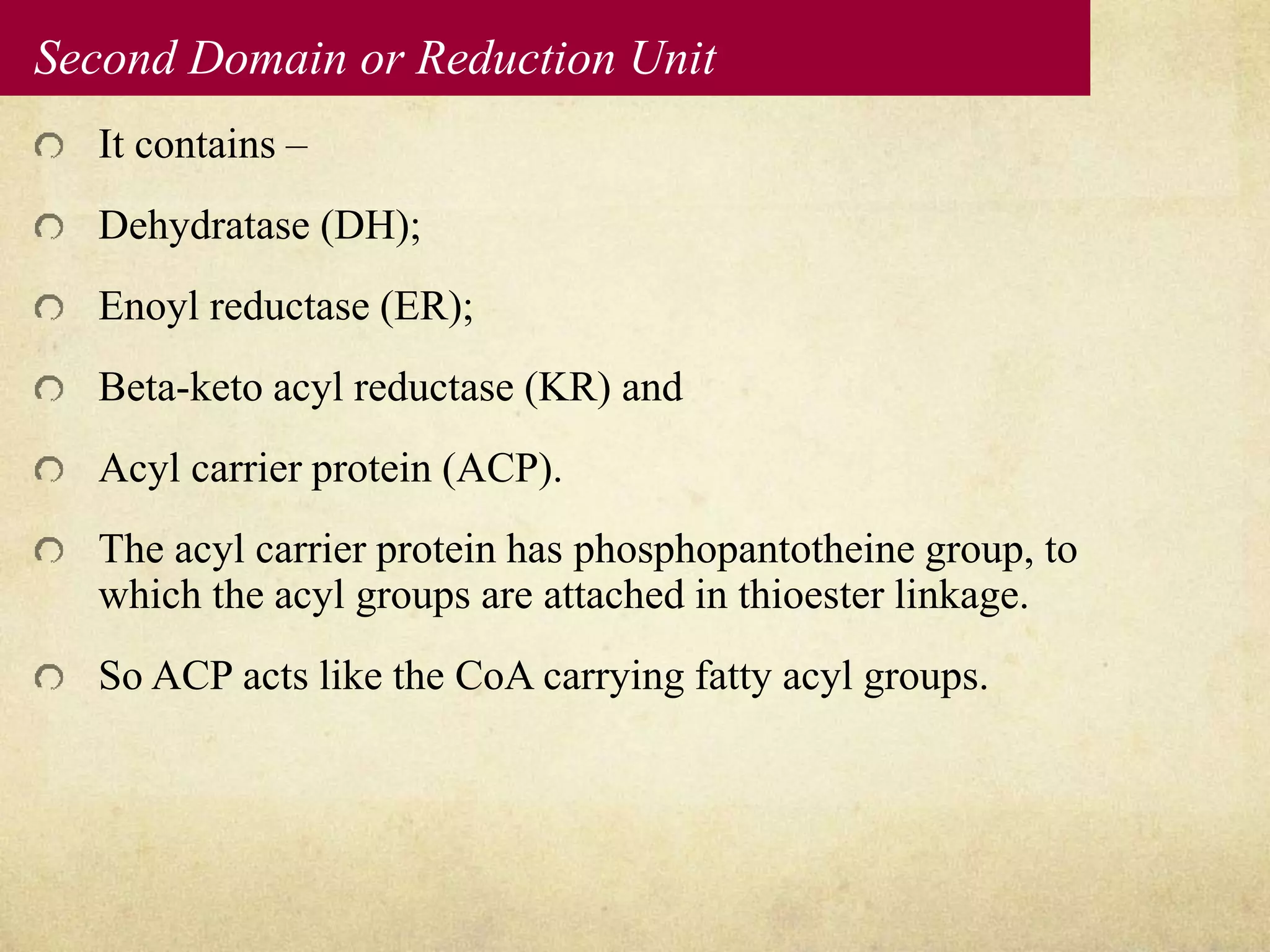 Fatty Acid metabolism | PPTX