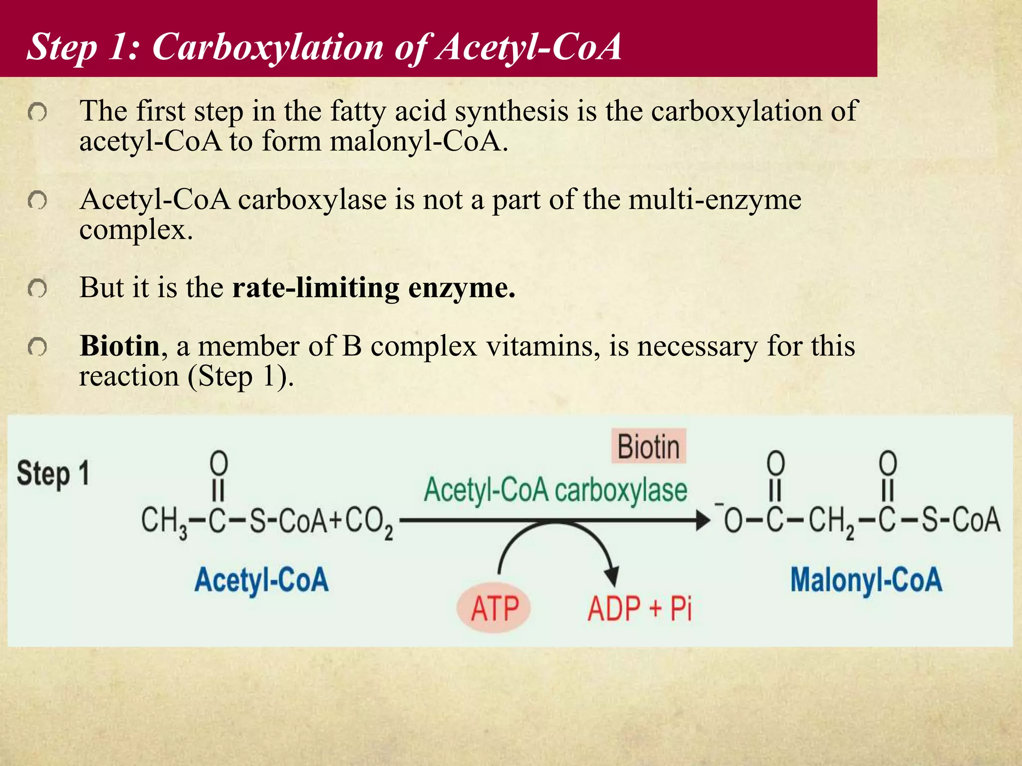 Fatty Acid metabolism | PPTX