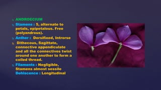 slide share// sumia fatema//Fami. catharanthus roseus | PDF