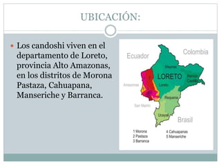 Familia candoshi | PPT