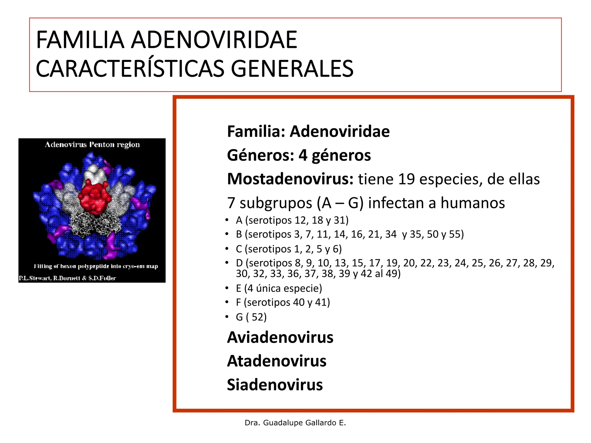 FAMILIA ADENOVIRIDAE virologia virus.pdf