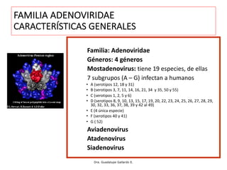 FAMILIA ADENOVIRIDAE virologia virus.pdf