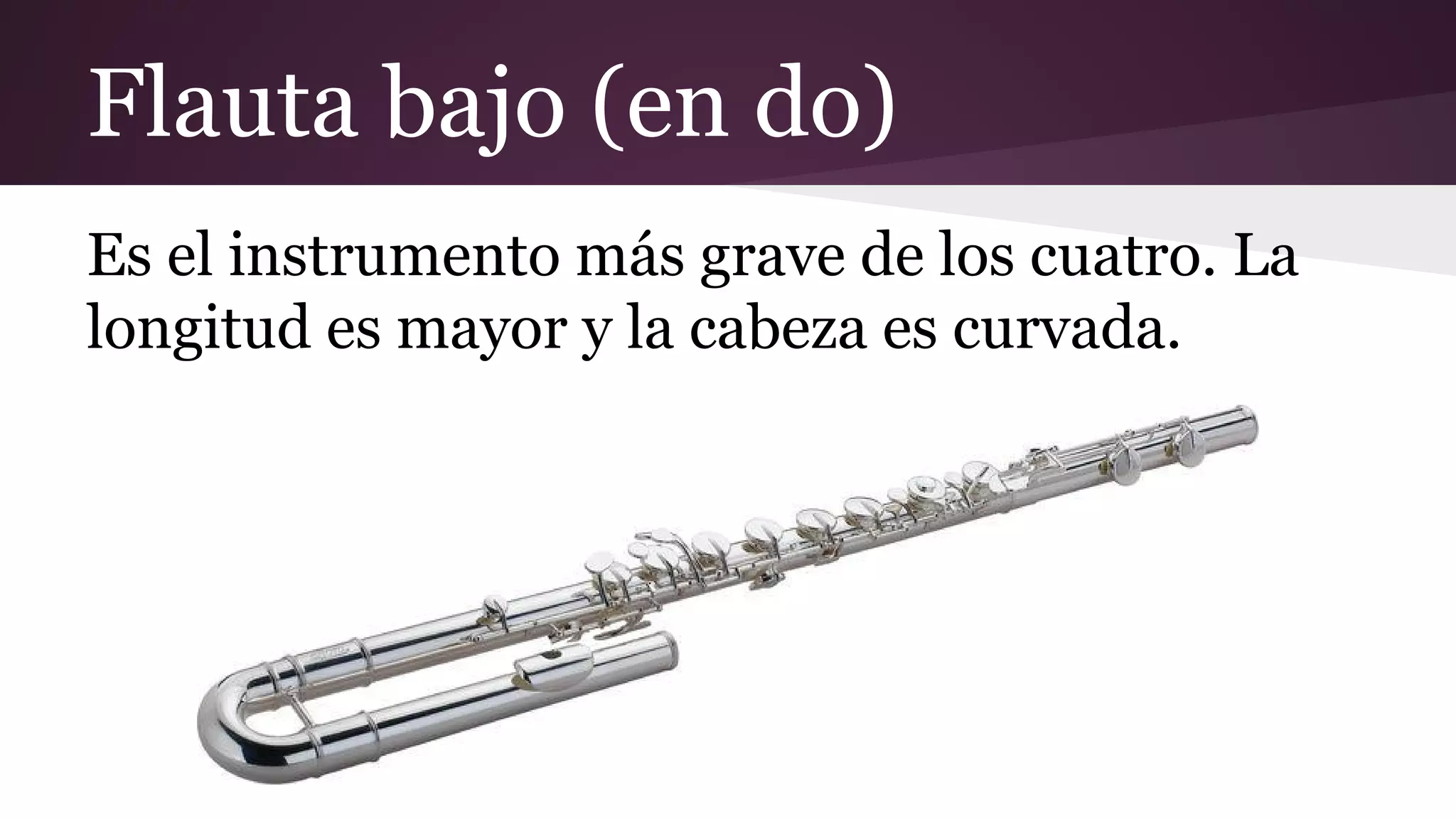 Familia de la flauta | PDF