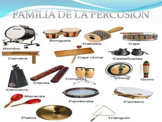 Instrumentos Musicales De Percusion