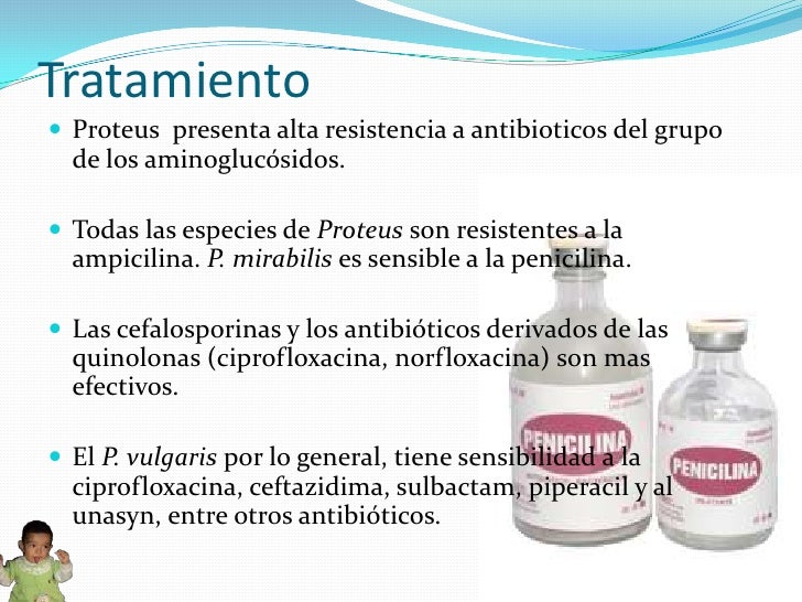 Proteus mirabilis treatment - lananw