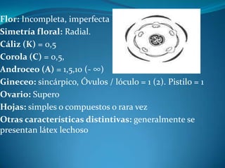 Familia euphorbiaceae | PPTX