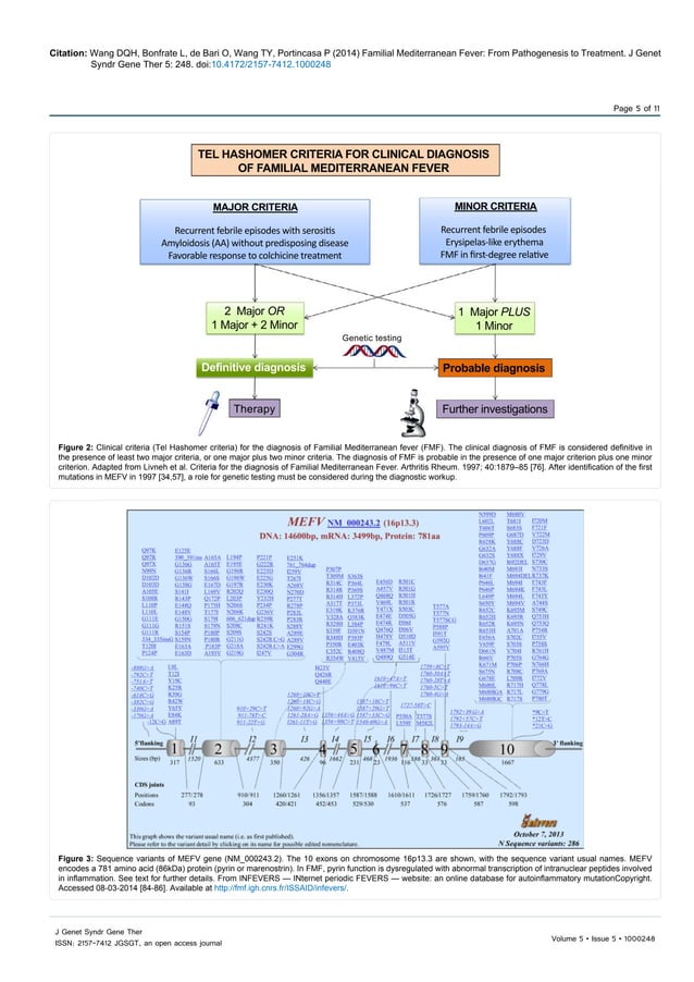 Familial Mediterranean Fever: from pathogenesis to treatment | PDF