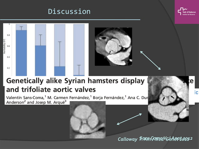 Familial aggregation of bicuspid aortic valve: is it useful a family ...