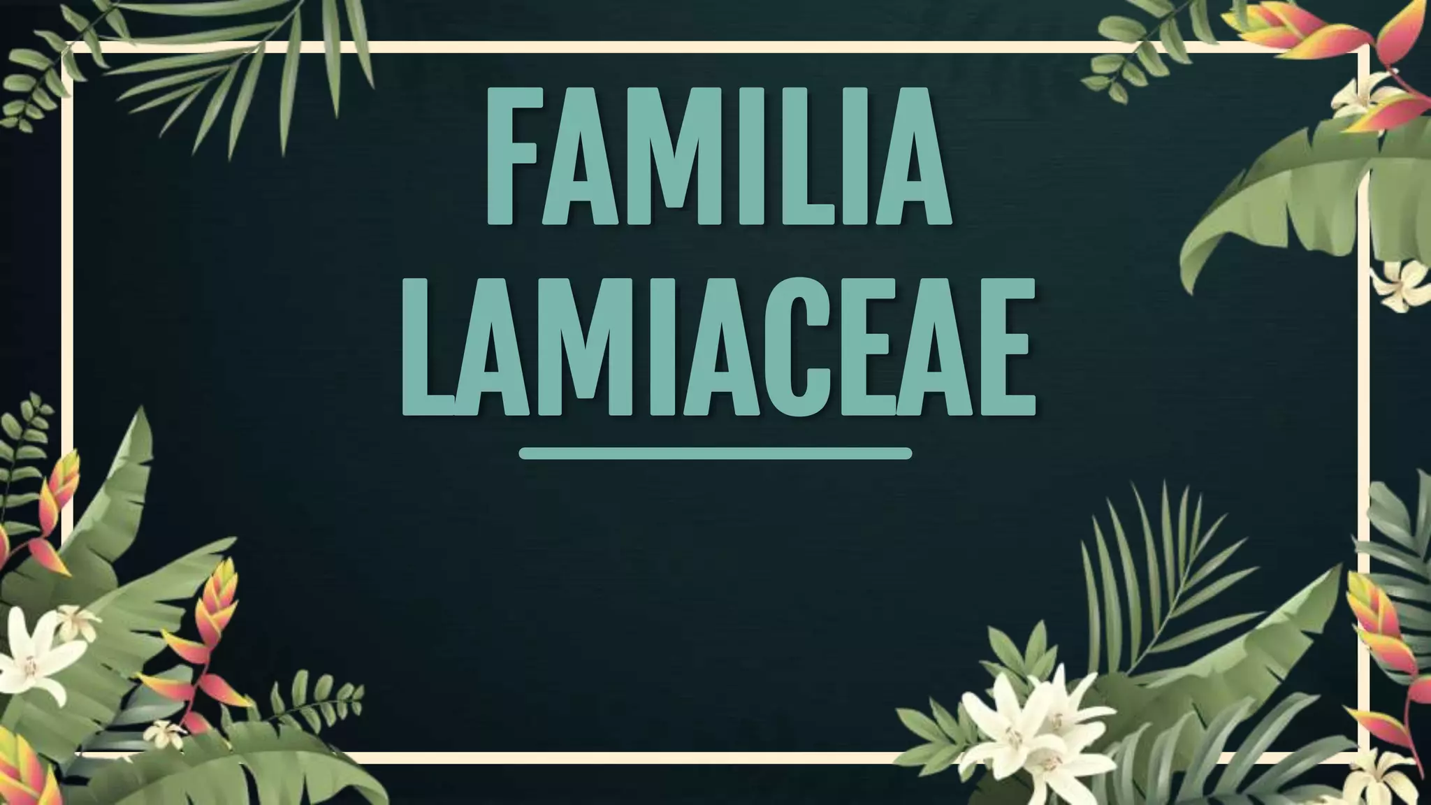 Familia lamiaceae | PPT