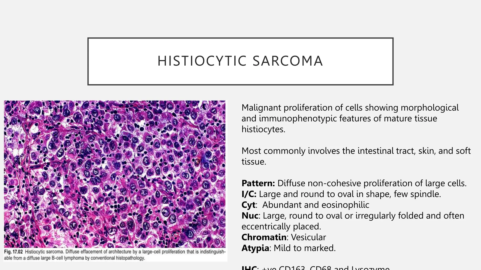 Familial Histiocytic Proliferative Lesions | PPTX