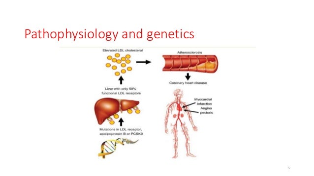 Familial hypercholesterolemia