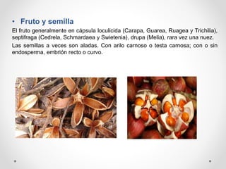 Familia meliaceae | PPTX