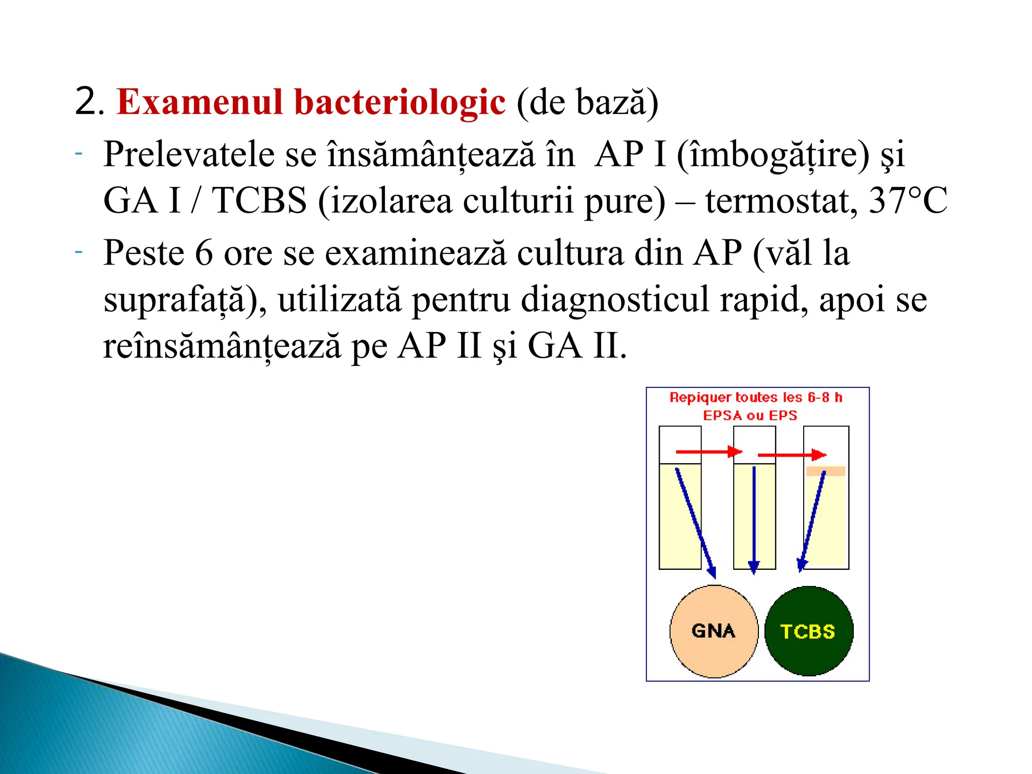 FAMILIA_ggggjrjnrvwodVIBRIONACEAE_(nrndb1)-95735.ppt