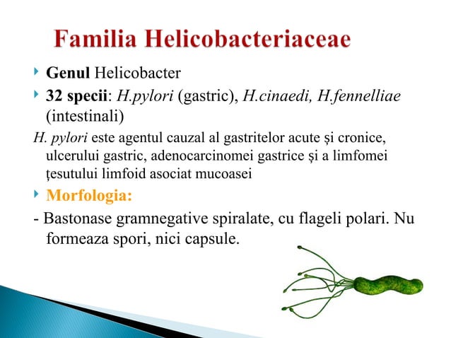 FAMILIA_ggggjrjnrvwodVIBRIONACEAE_(nrndb1)-95735.ppt