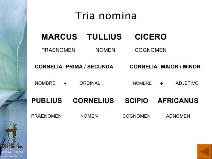 Familia y vida cotidiana en la Roma antigua