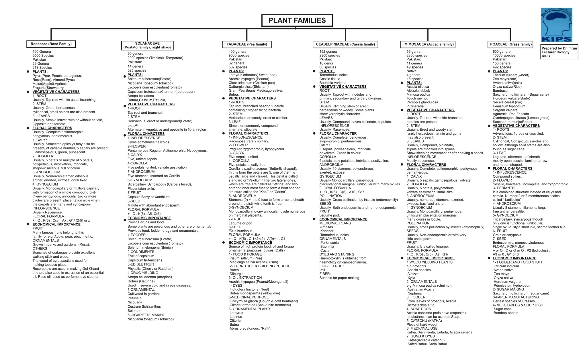 Families.. of plants and there characters ppt | PDF