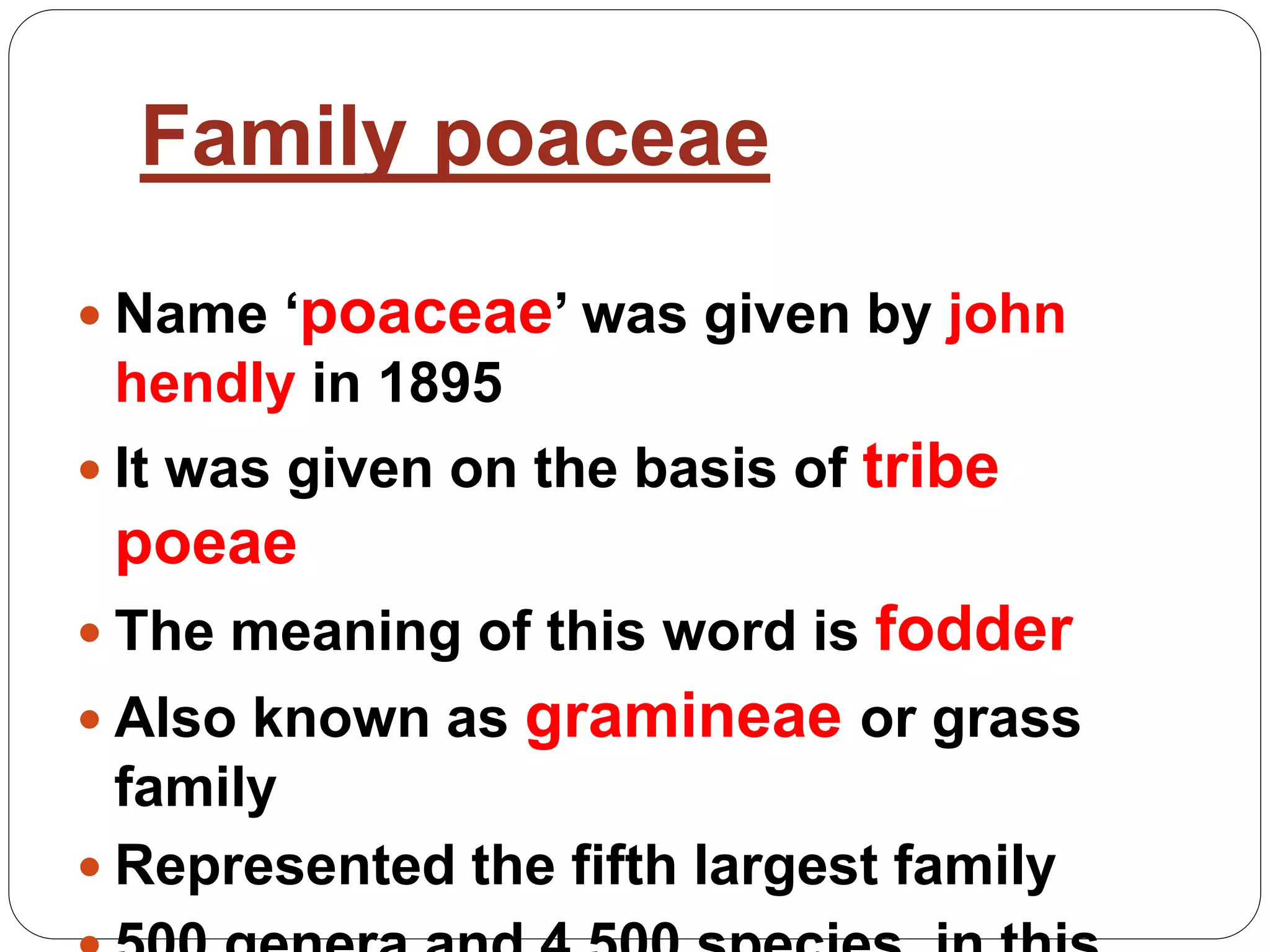 Families Poaceae and amaranthaceae.pptx