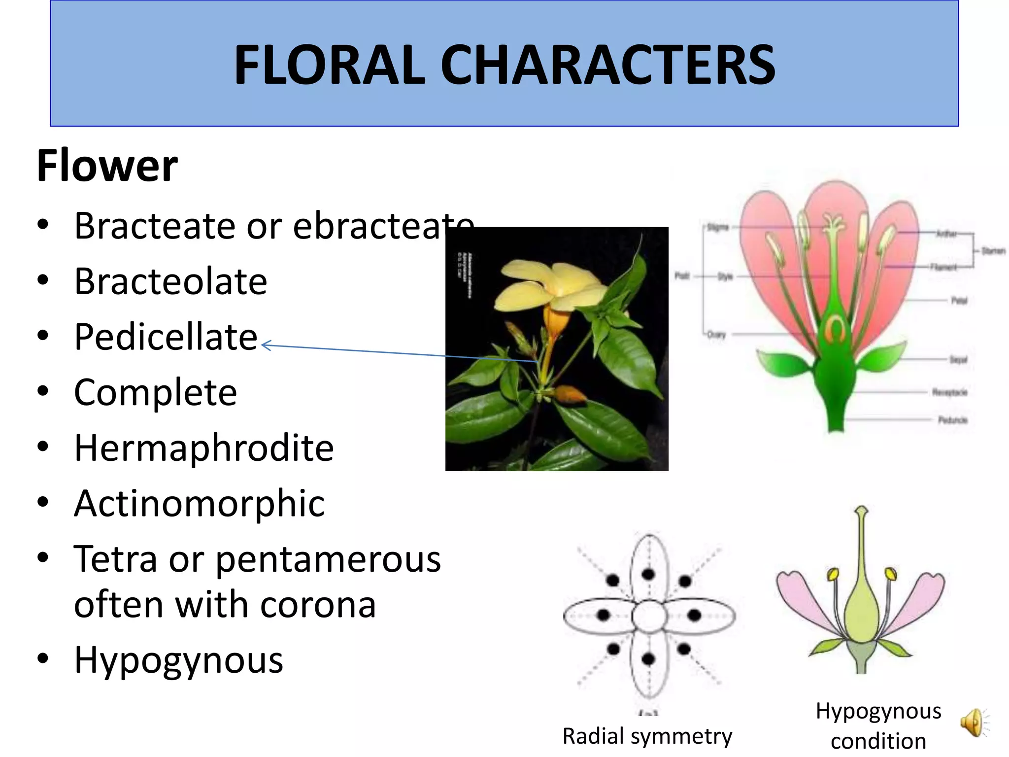Family apocynaceae | PPT
