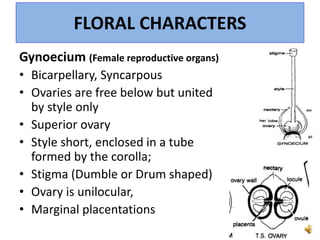 Family apocynaceae | PPT