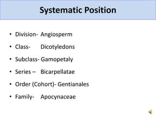 Family apocynaceae | PPT