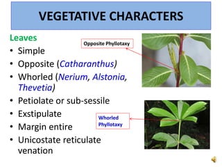 Family apocynaceae | PPT