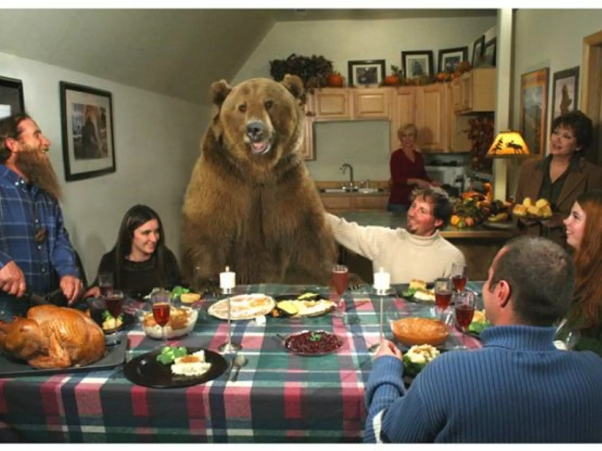 Family Raised Grizzly Bear | PPS