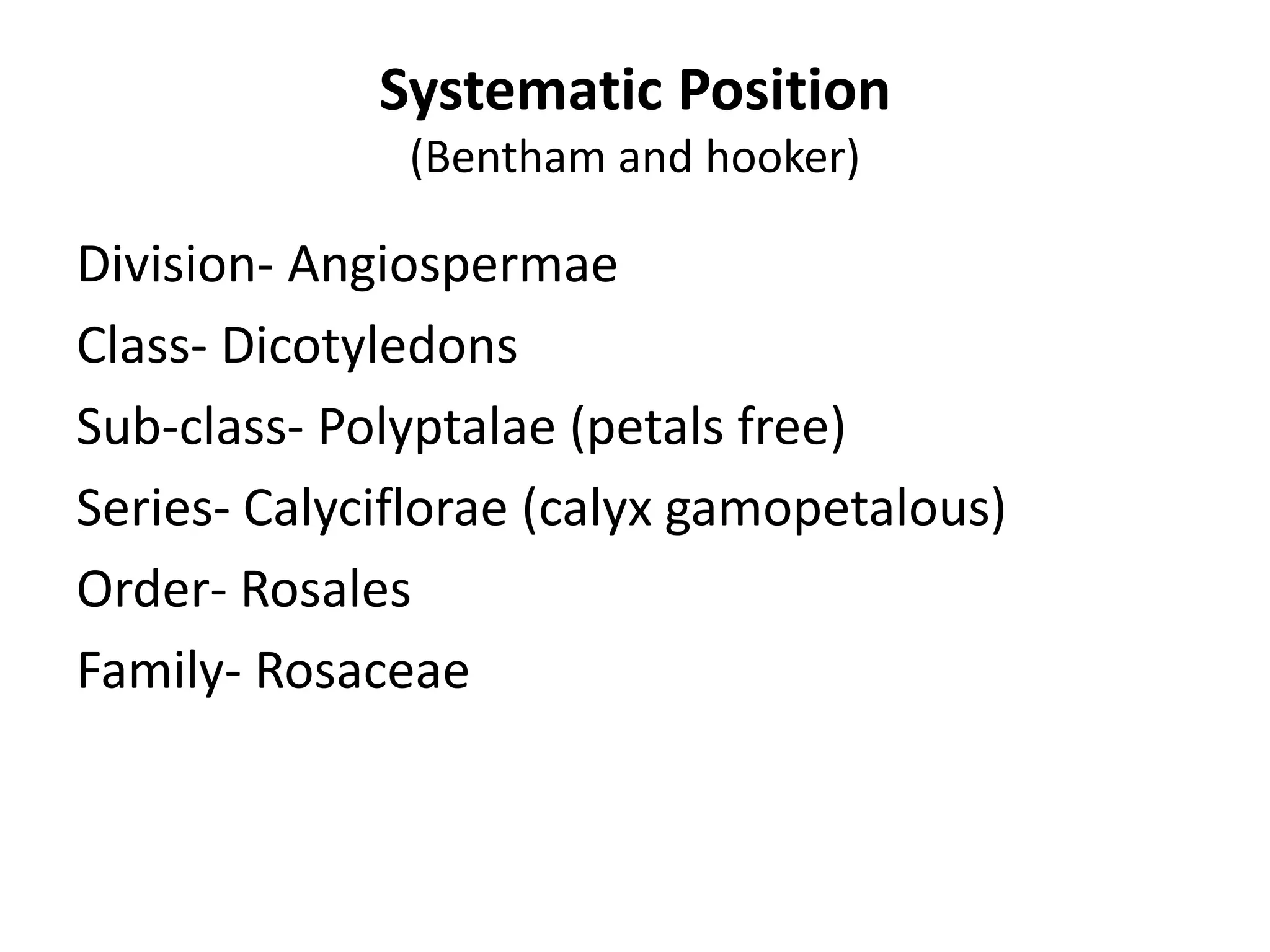 Family- Rosaceae.pptx