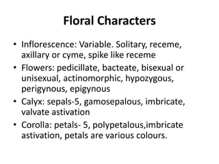 Family- Rosaceae.pptx