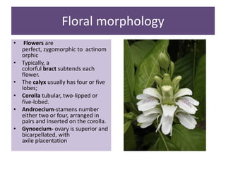 Taxonomy of Angiosperms: Family-Acanthaceae | PDF