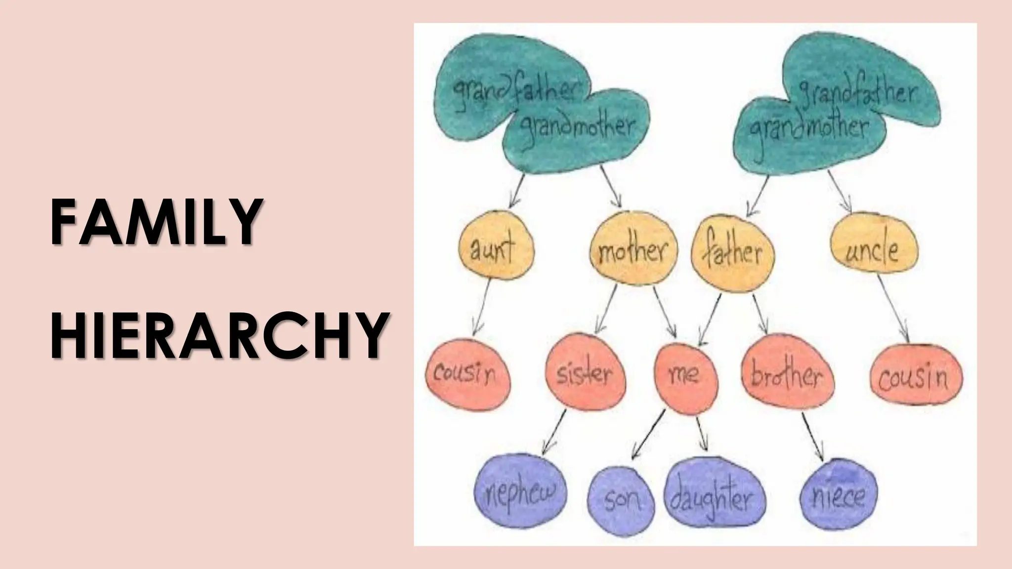 FAMILY AND COMMUNITY & FAMILY LIFE CYCLE | PDF