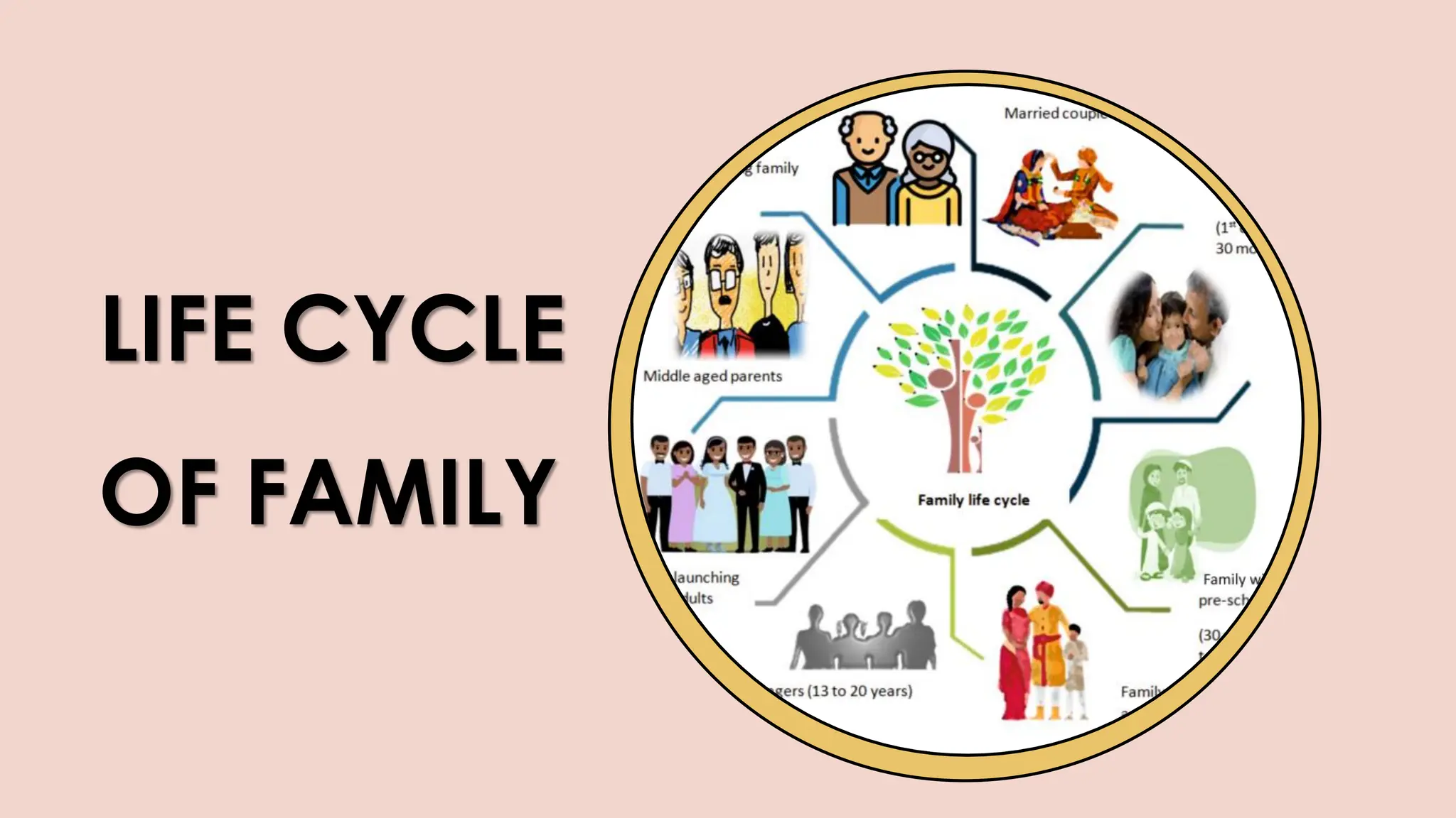 FAMILY AND COMMUNITY & FAMILY LIFE CYCLE | PDF