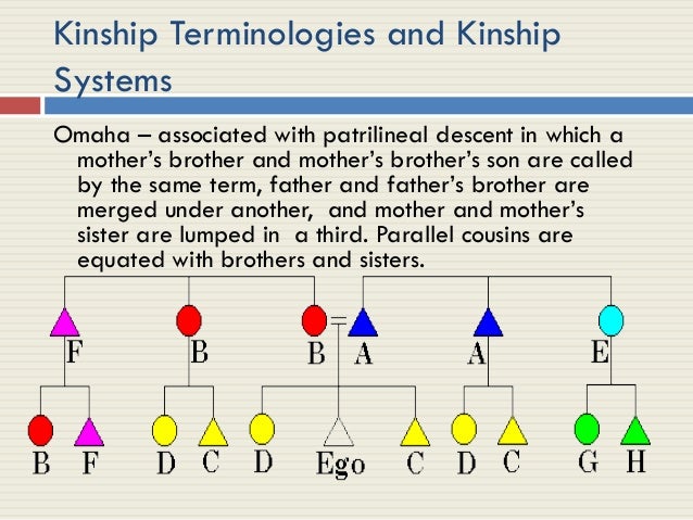 Family and kinship