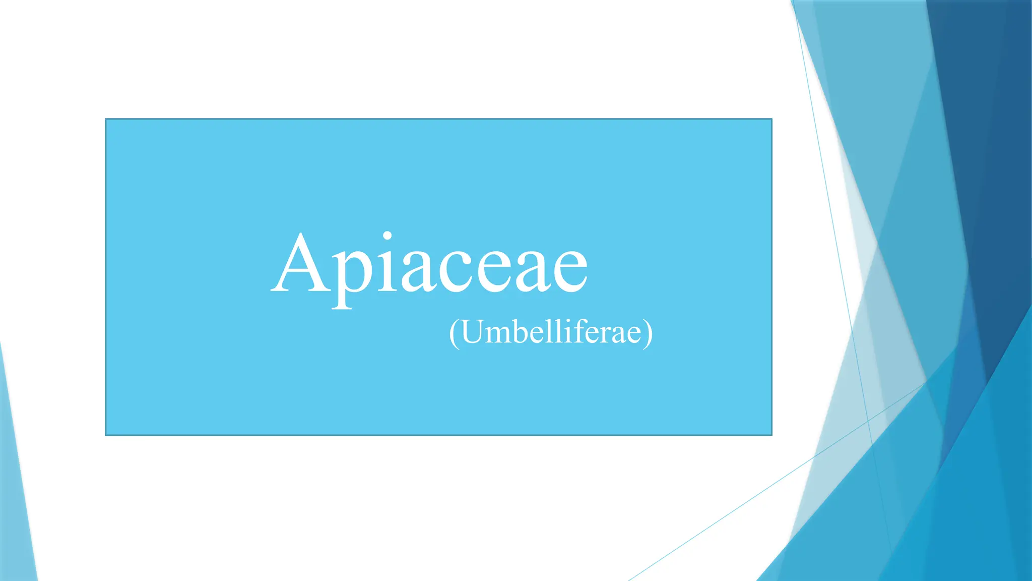 Family Apiaceae.ppt by Adeel Ahmad BS Botany | PPTX