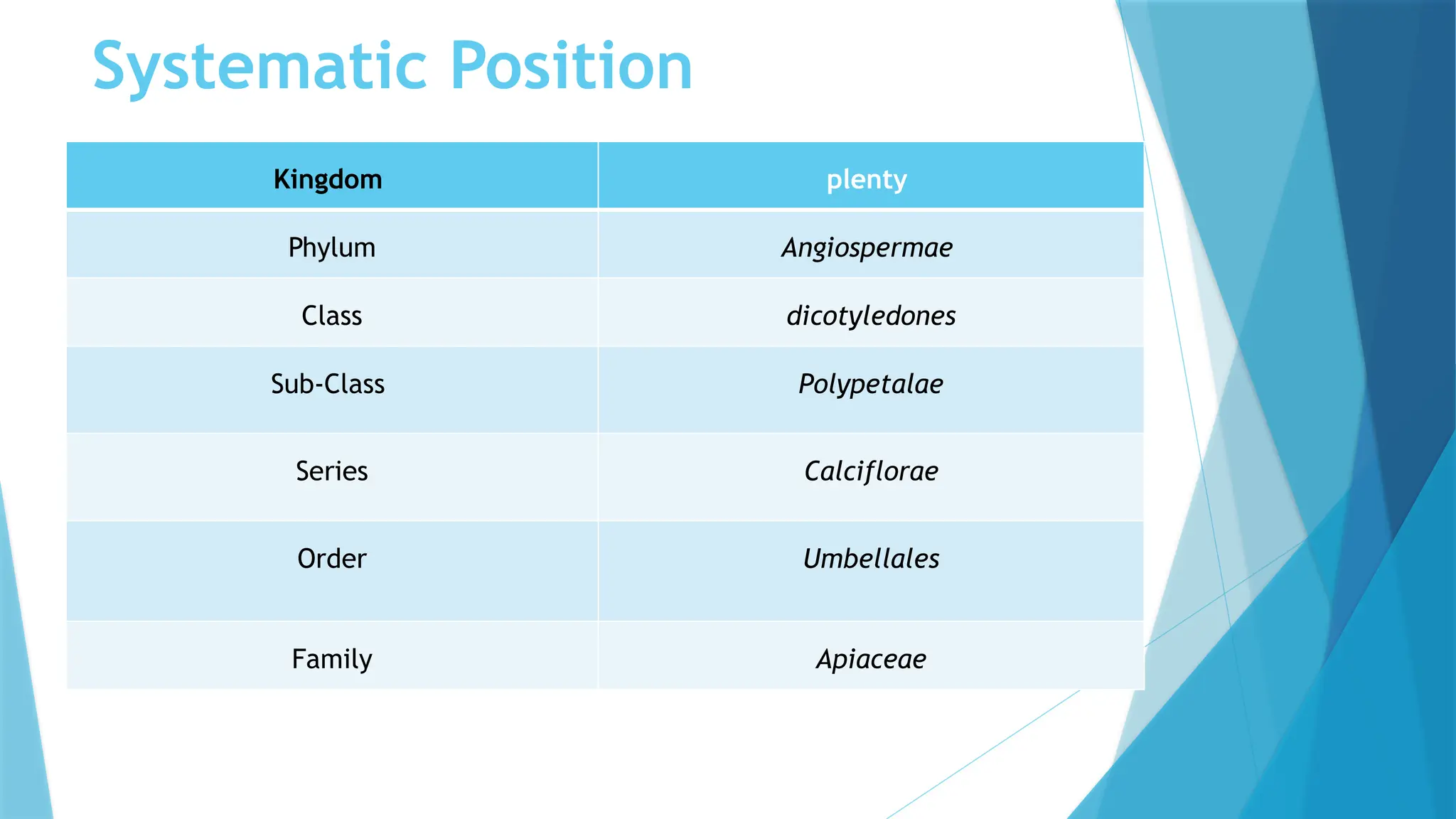 Family Apiaceae.ppt by Adeel Ahmad BS Botany | PPTX